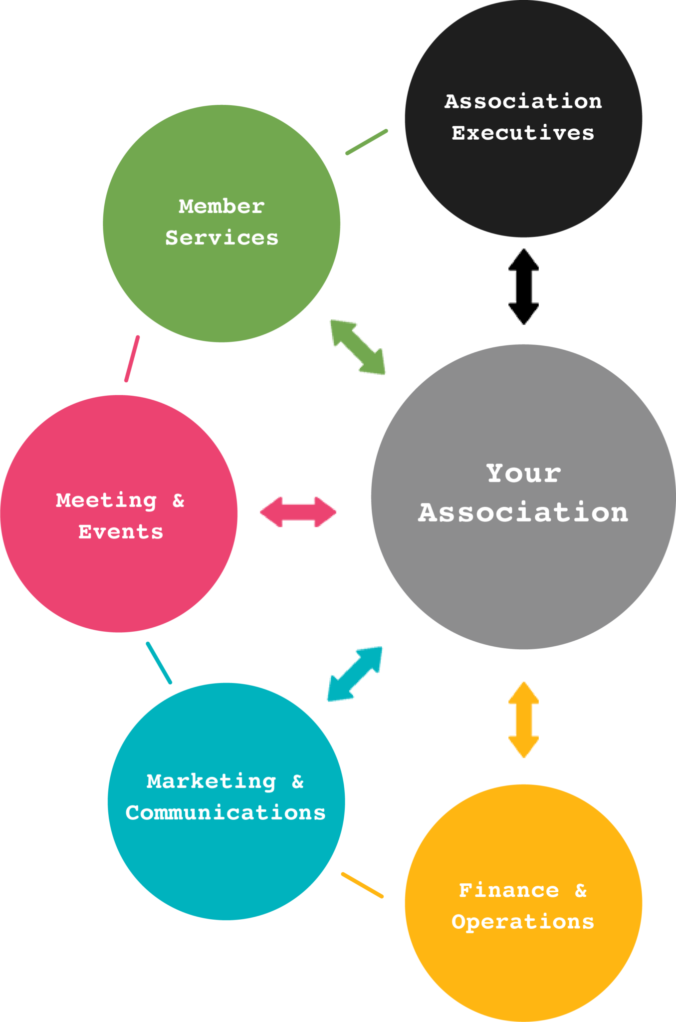 Our Team | Experts in Association Management | SBI